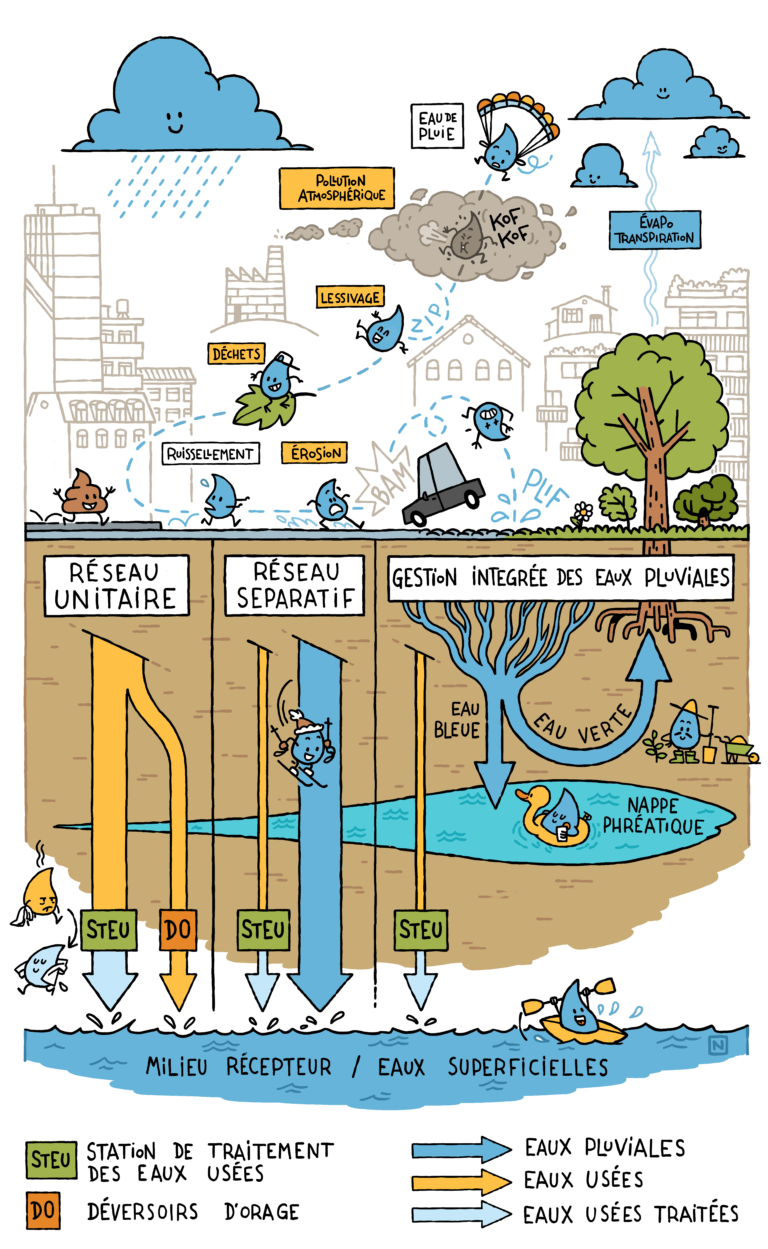Le cheminement vertical de l'eau | Graie